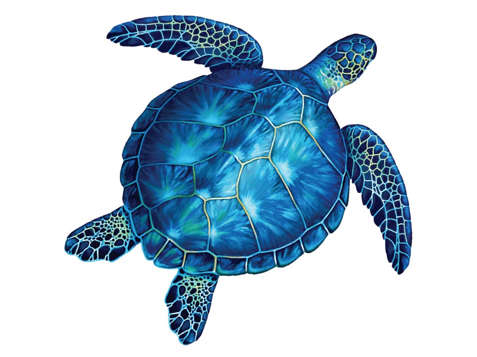 Pool Mosaics - Sea Turtles - Aquabella